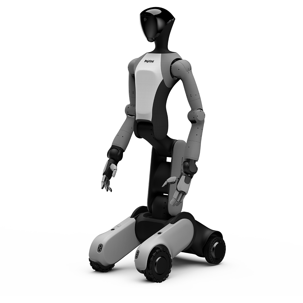 购买TORA DOUBLE ONE - PaXini帕西尼商城